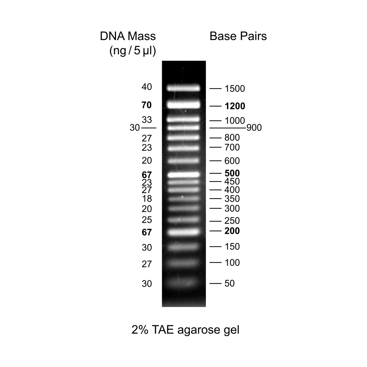Simply Biologics 50bp DNA Ladder RTU (Ready-to-Use) for Sale - Gaia ...